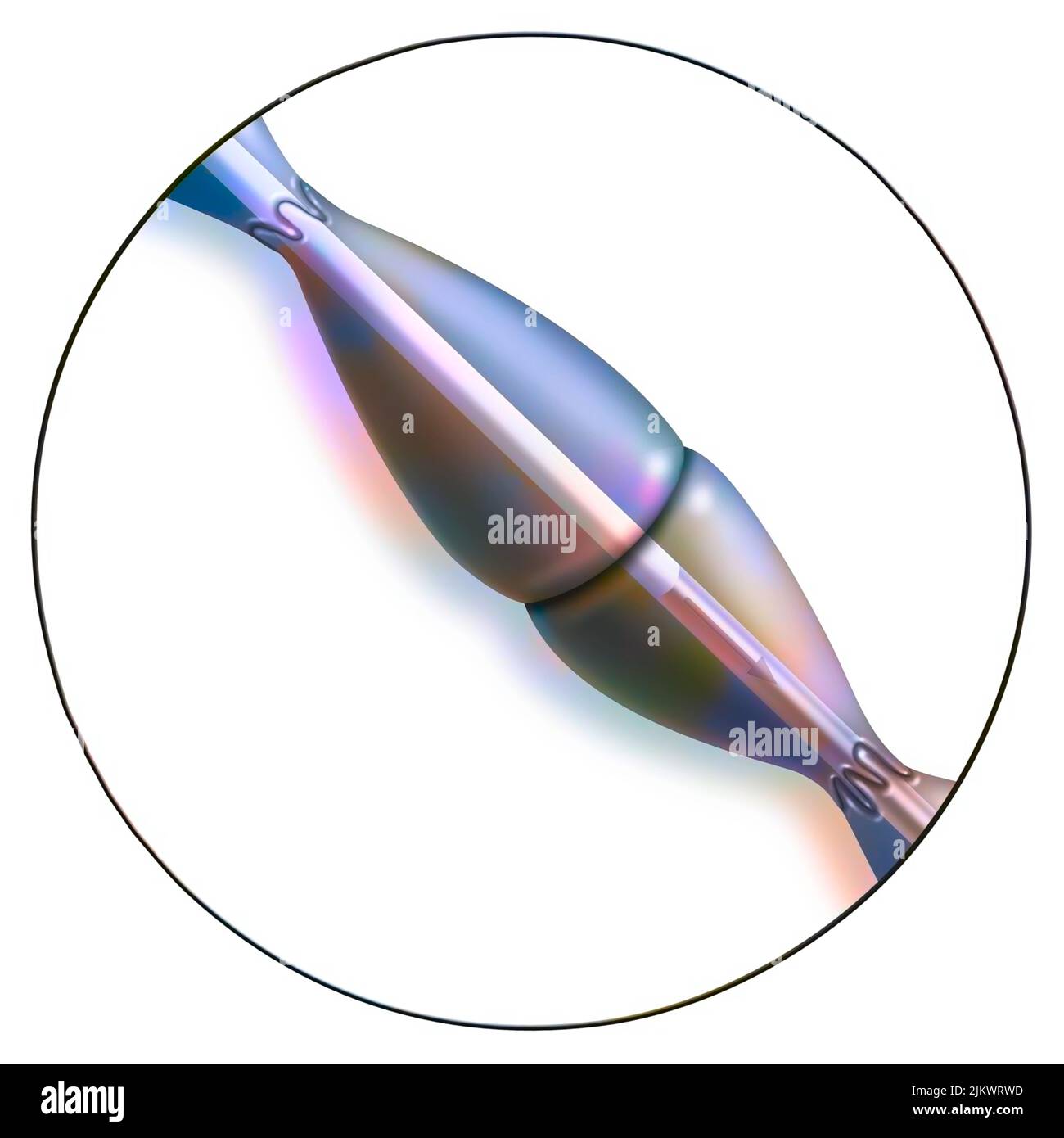 Regeneration of nerves following a transplant Stock Photo - Alamy