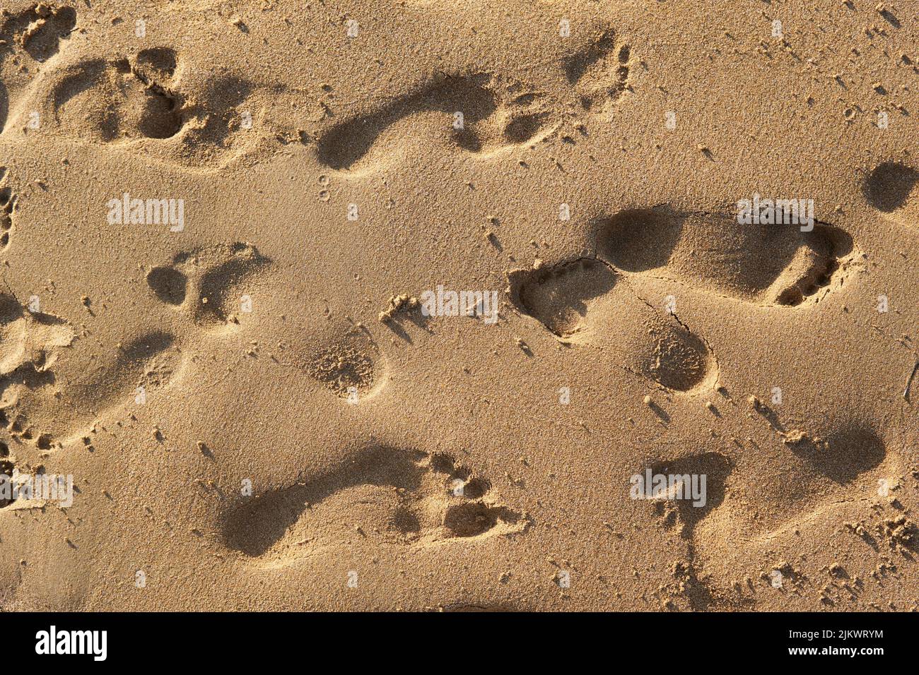 A background of textured sand footprints Stock Photo - Alamy