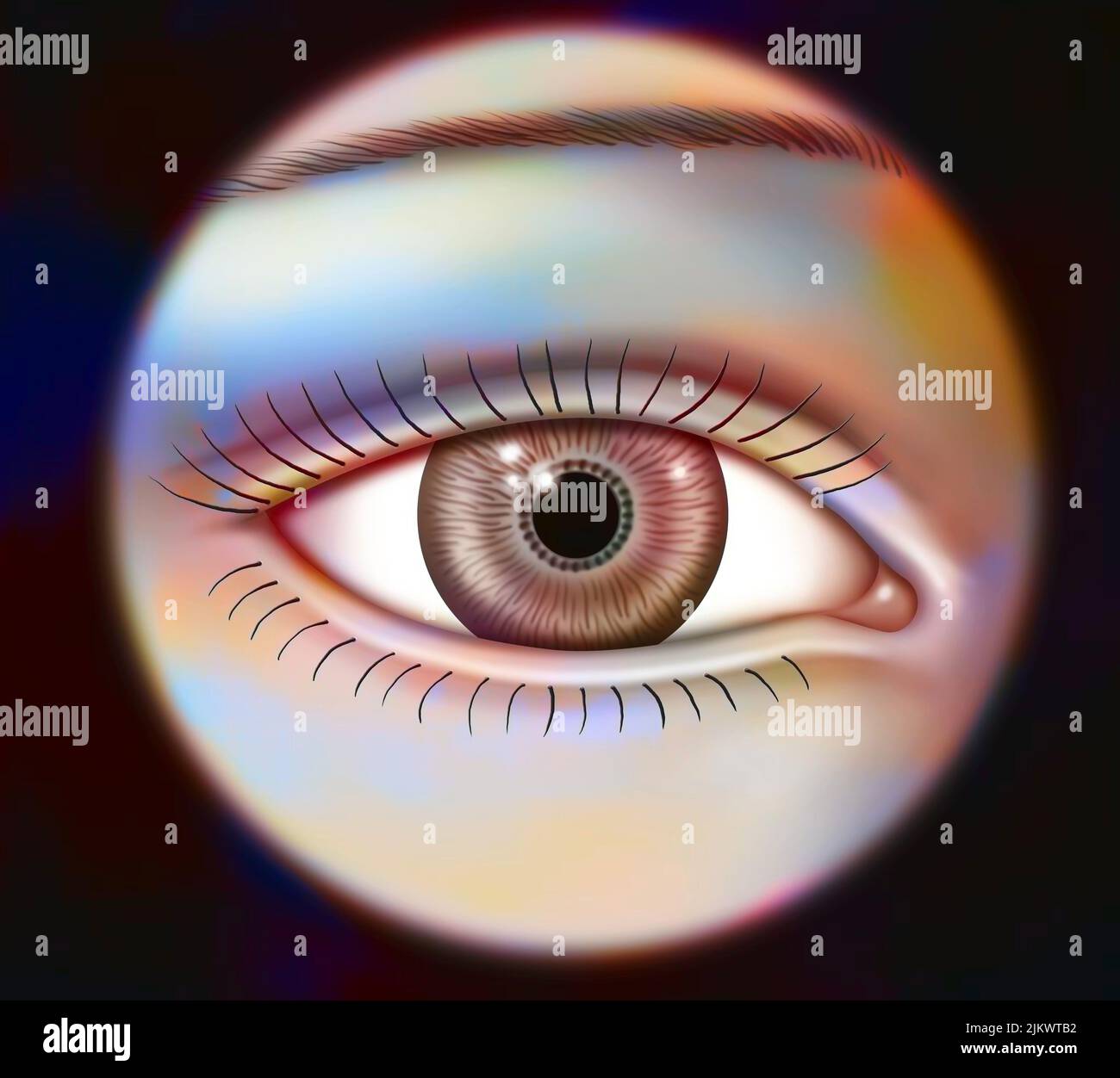 Front view female eye with blue iris, pupil Stock Photo - Alamy