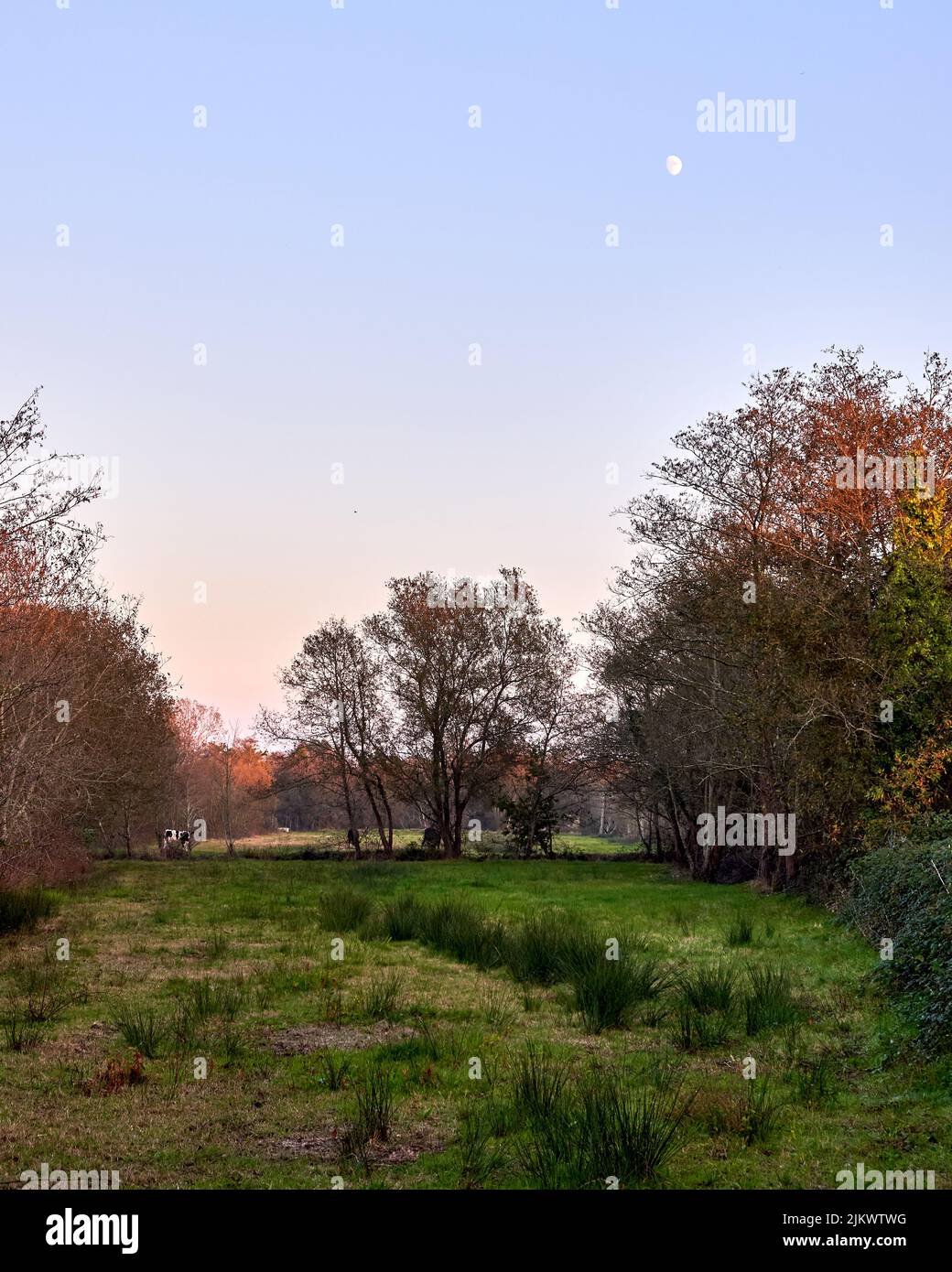 The sunset sky over the countryside field in Aveiro, Portugal Stock ...