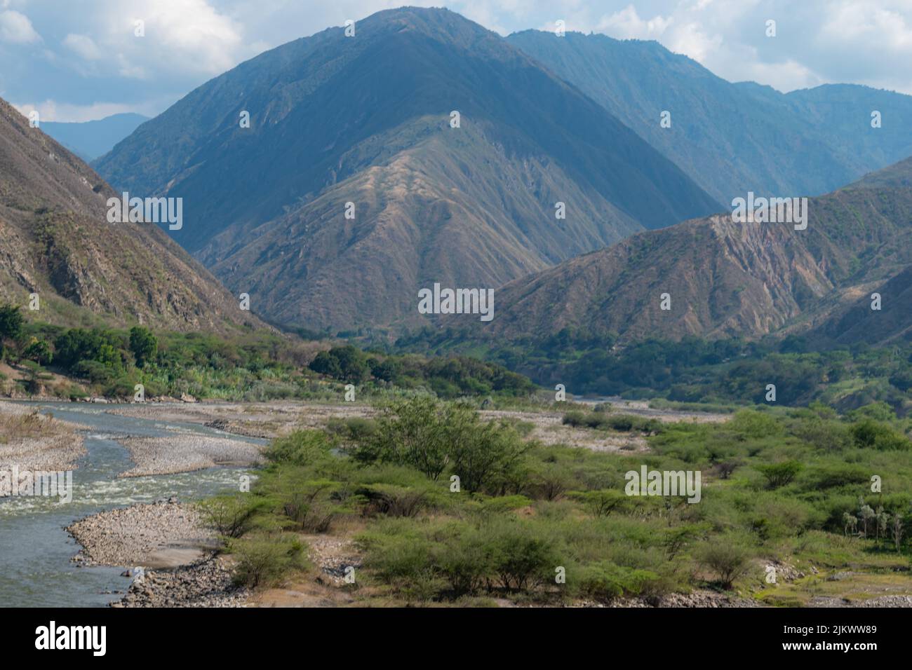 Colombia forest hi-res stock photography and images - Alamy