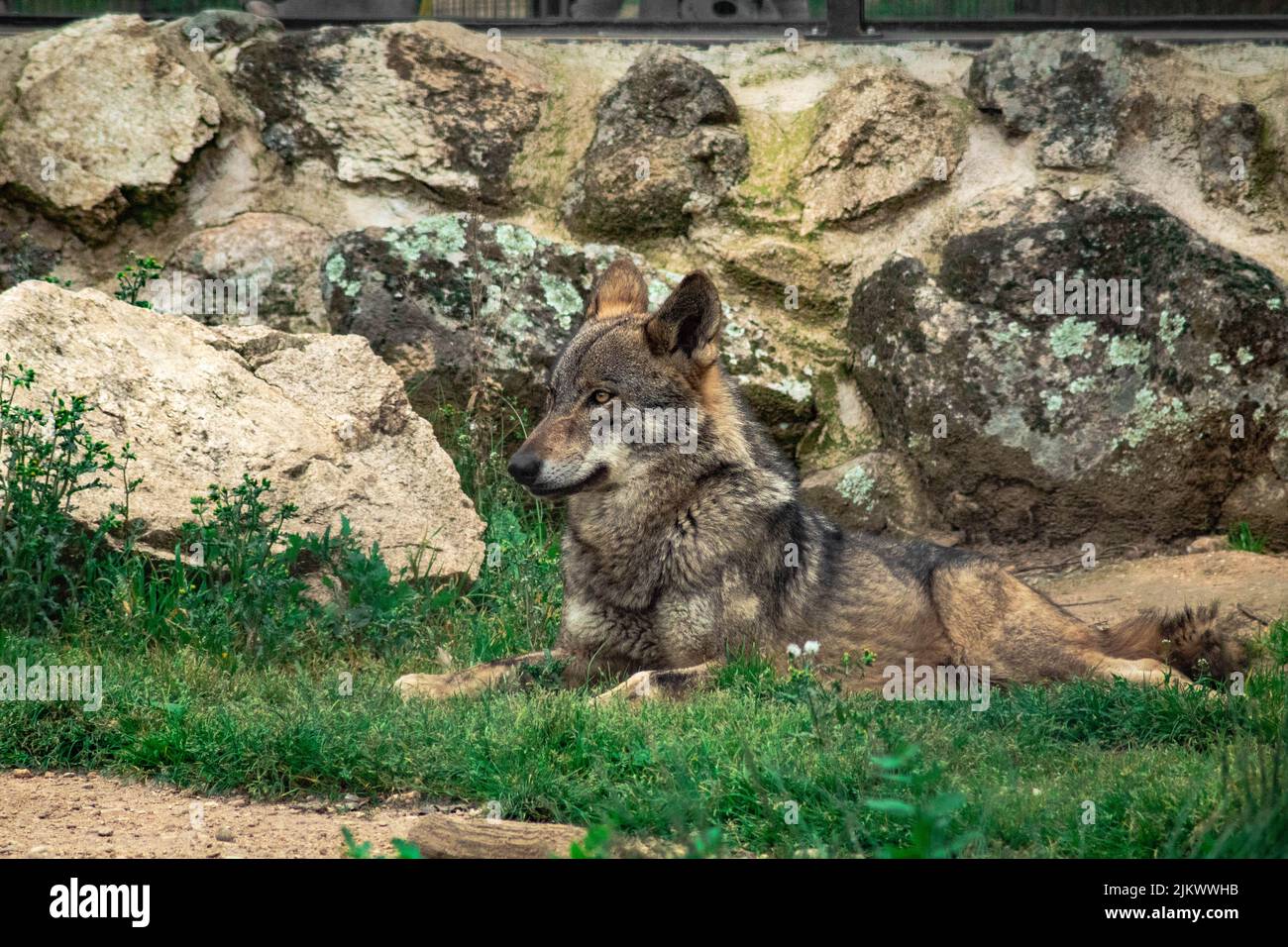 Iberian nature hi-res stock photography and images - Alamy