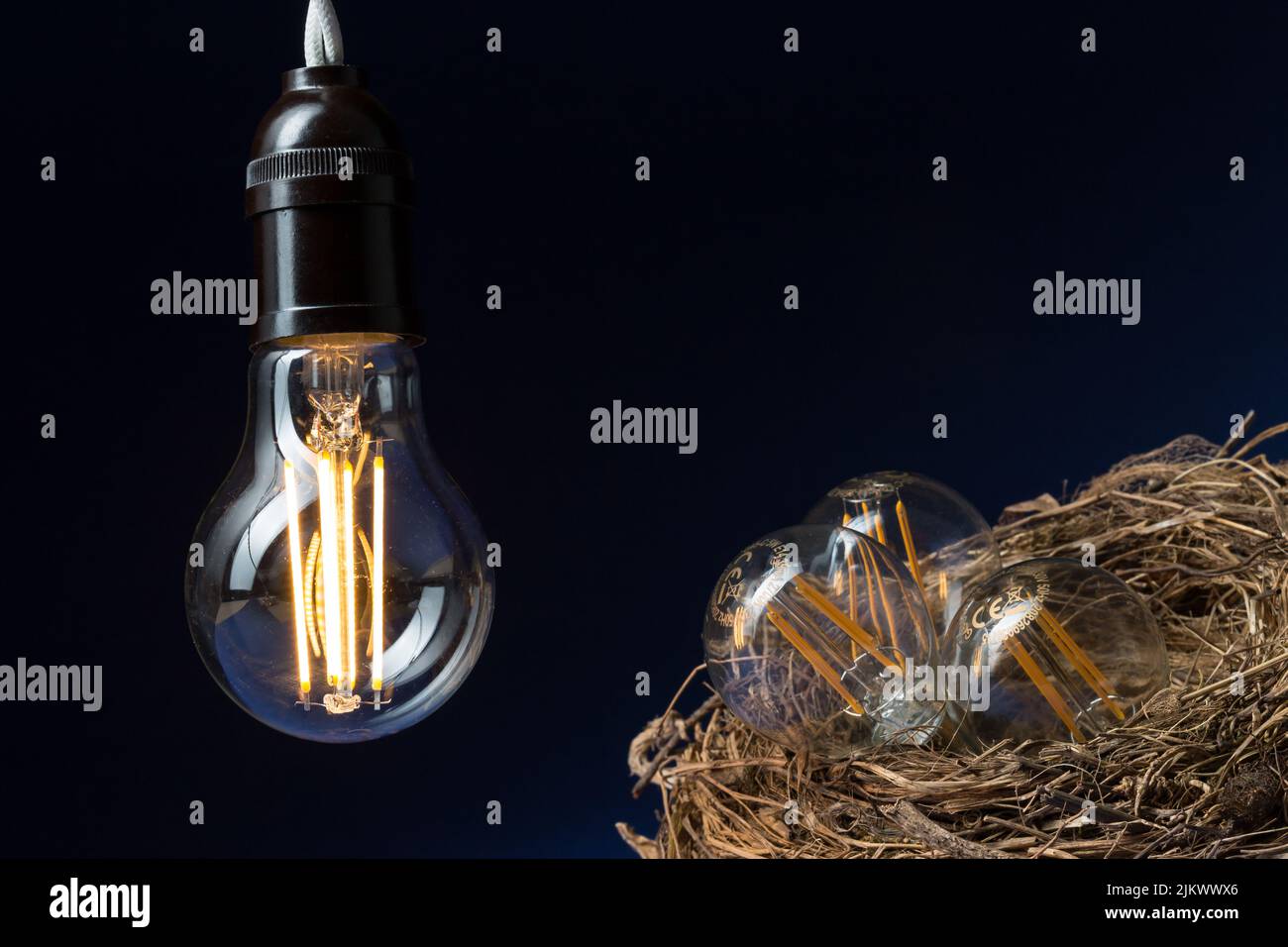 Close-up of a lit LED bulb that heats three small bulbs in a bird's ...