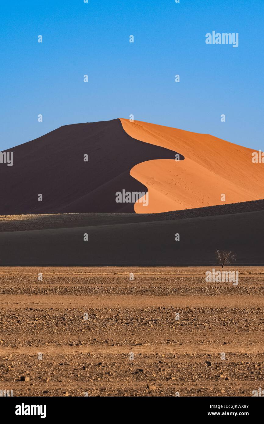 Namibia, the Namib desert, graphic landscape of red dunes Stock Photo ...