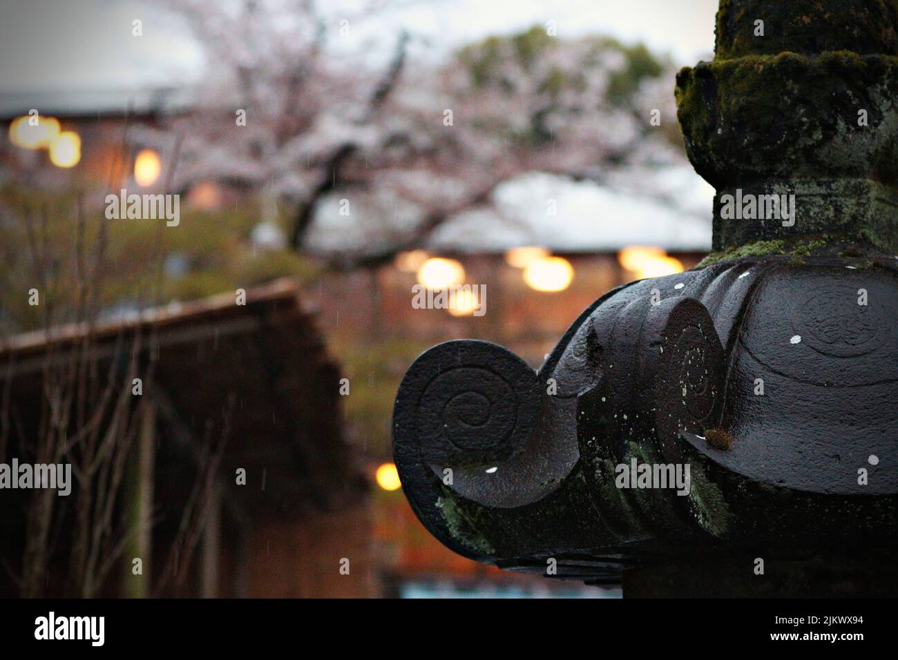 A beautiful shot of cherry blossom in Ueno Temple in Japan Stock Photo ...