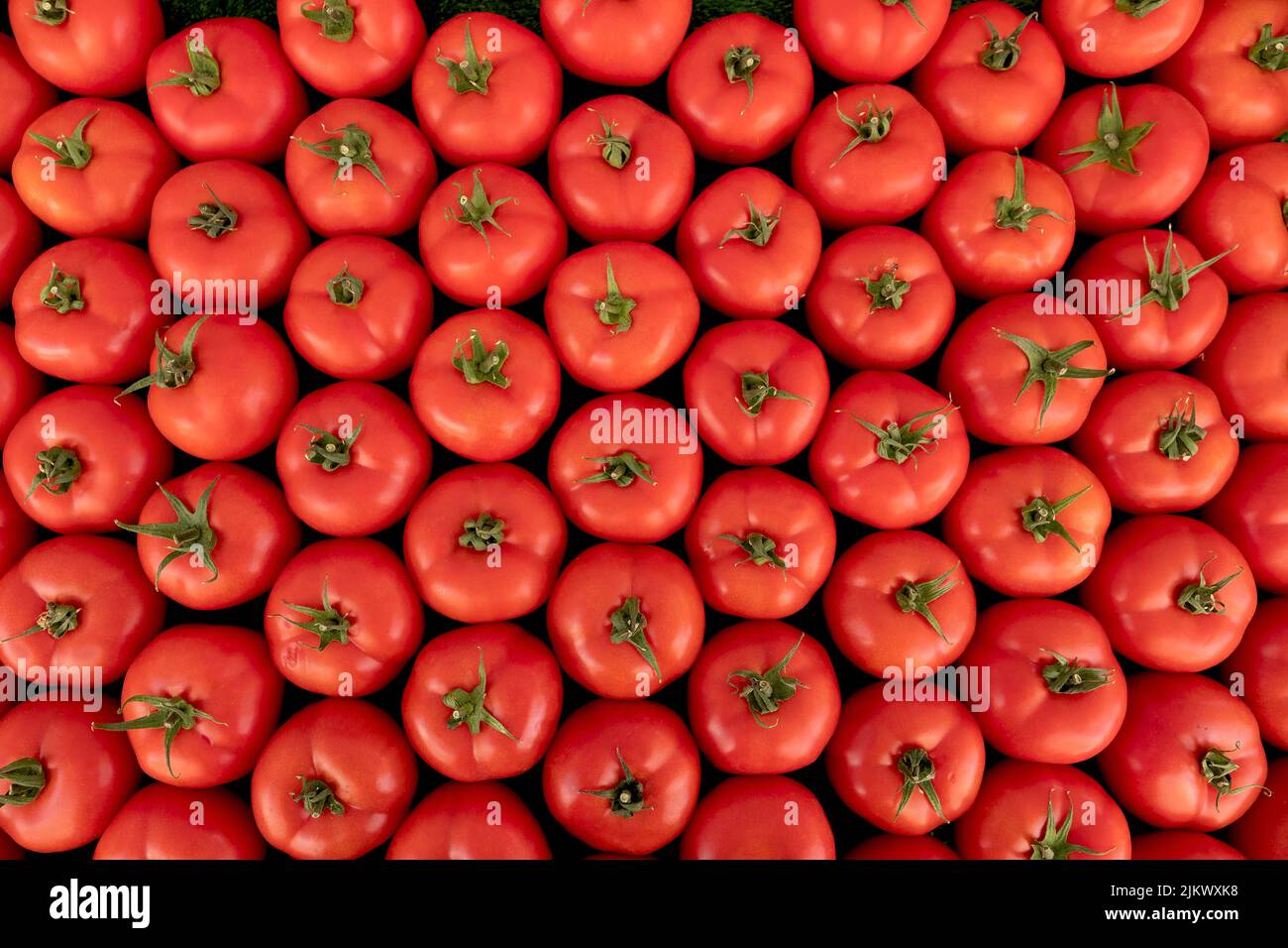 Tomato texture hi-res stock photography and images - Alamy