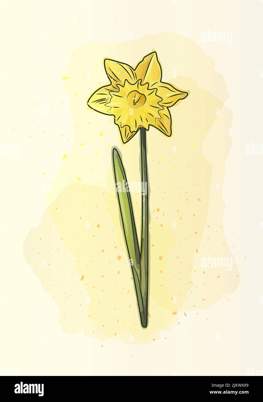 Modern art witn narcissus in watercolor style Stock Vector Image & Art ...