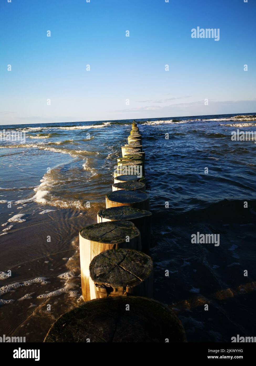 Wood logs in the water hi-res stock photography and images - Alamy