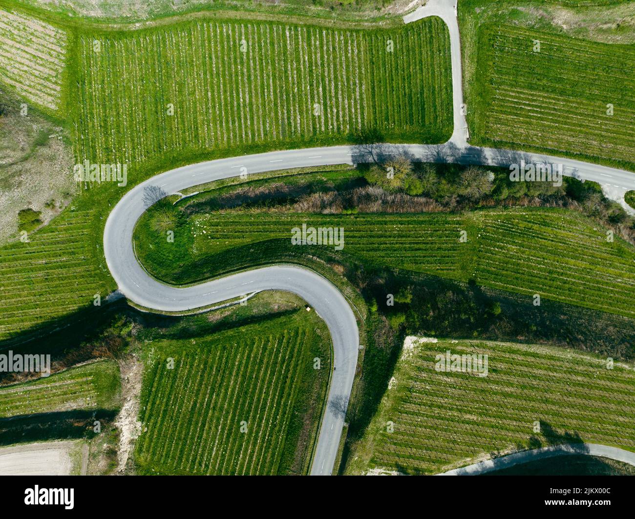 The aerial view of the beautiful green fields. Countryside landscape ...