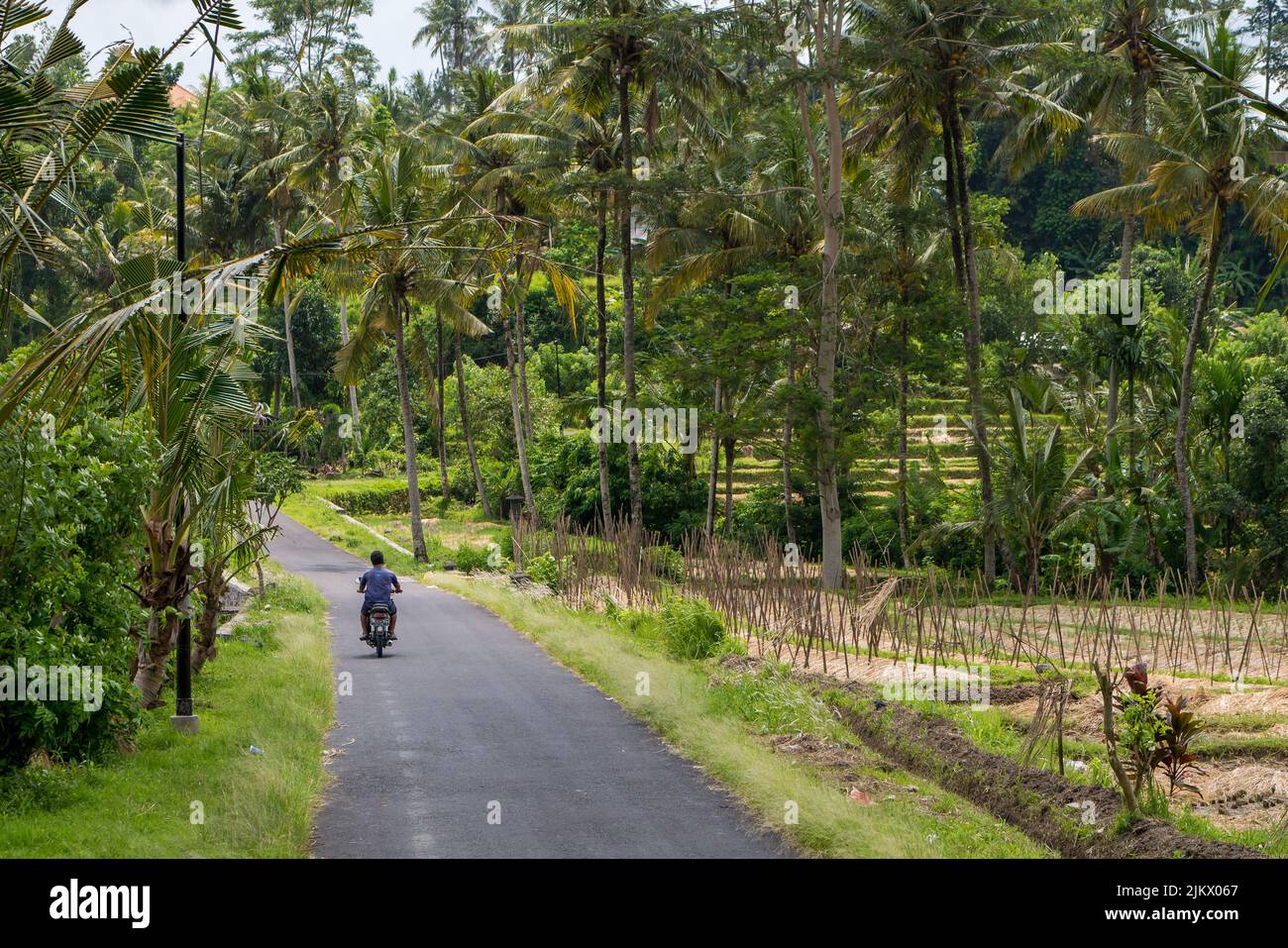 Indonesia country road hi-res stock photography and images - Alamy