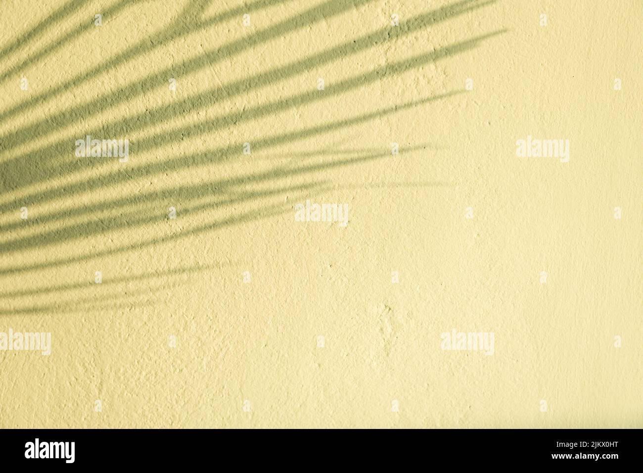 Blurred palm tree leaf's shadows on green yelow blue stucco wall ...