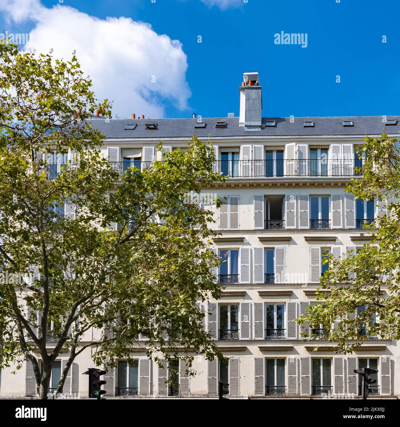 Paris, typical building boulevard des Invalides, in a luxury district ...