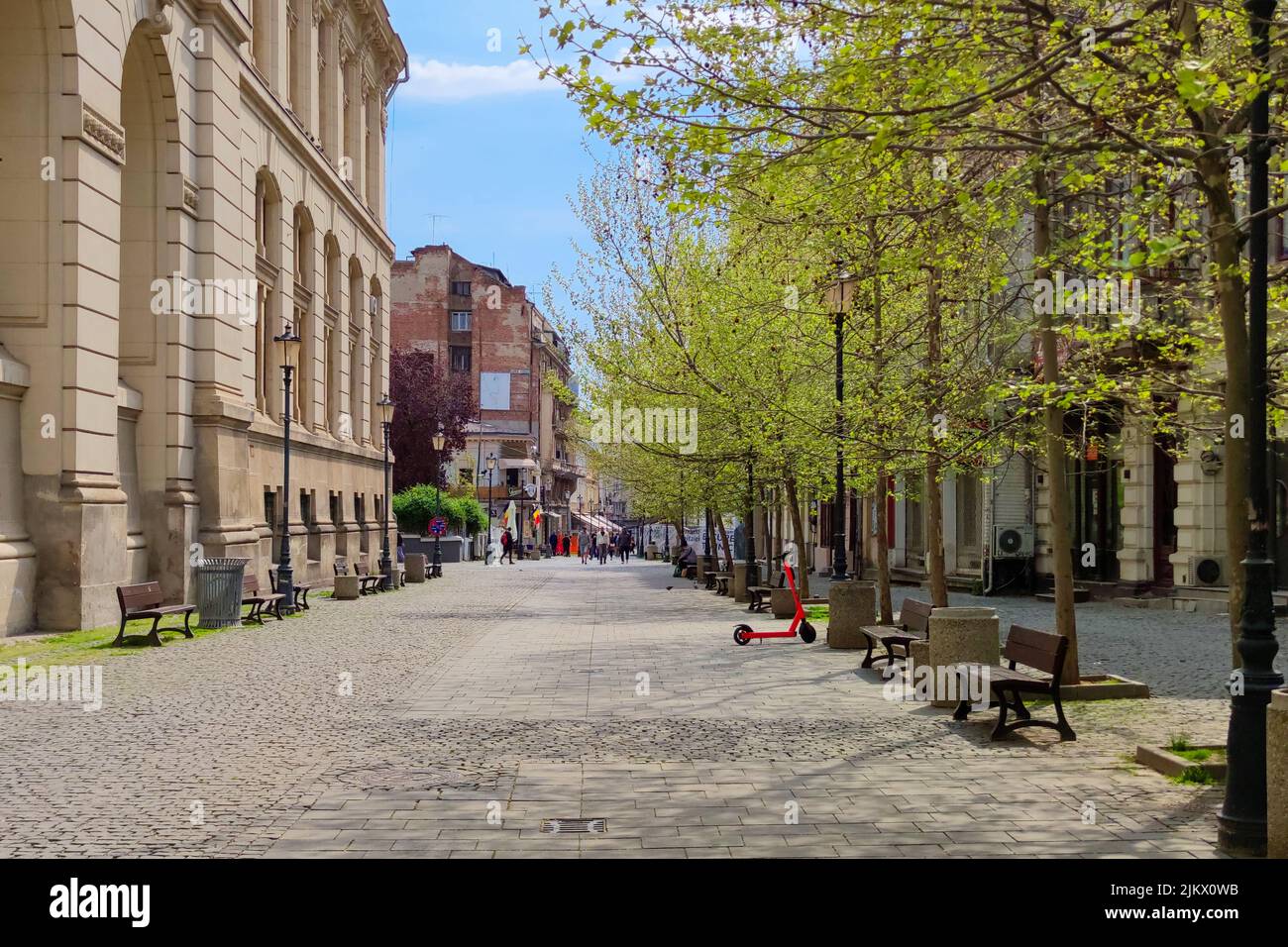 Empty bench trees park bench hi-res stock photography and images - Alamy