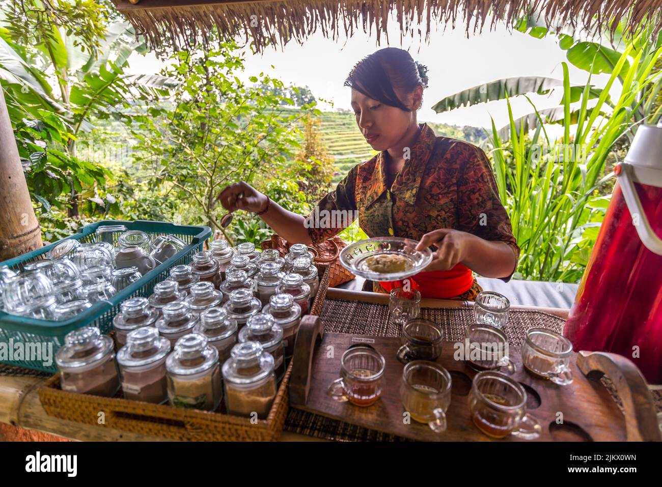 A Balinese young woman serving coffee in Bali, Indonesia Stock Photo ...