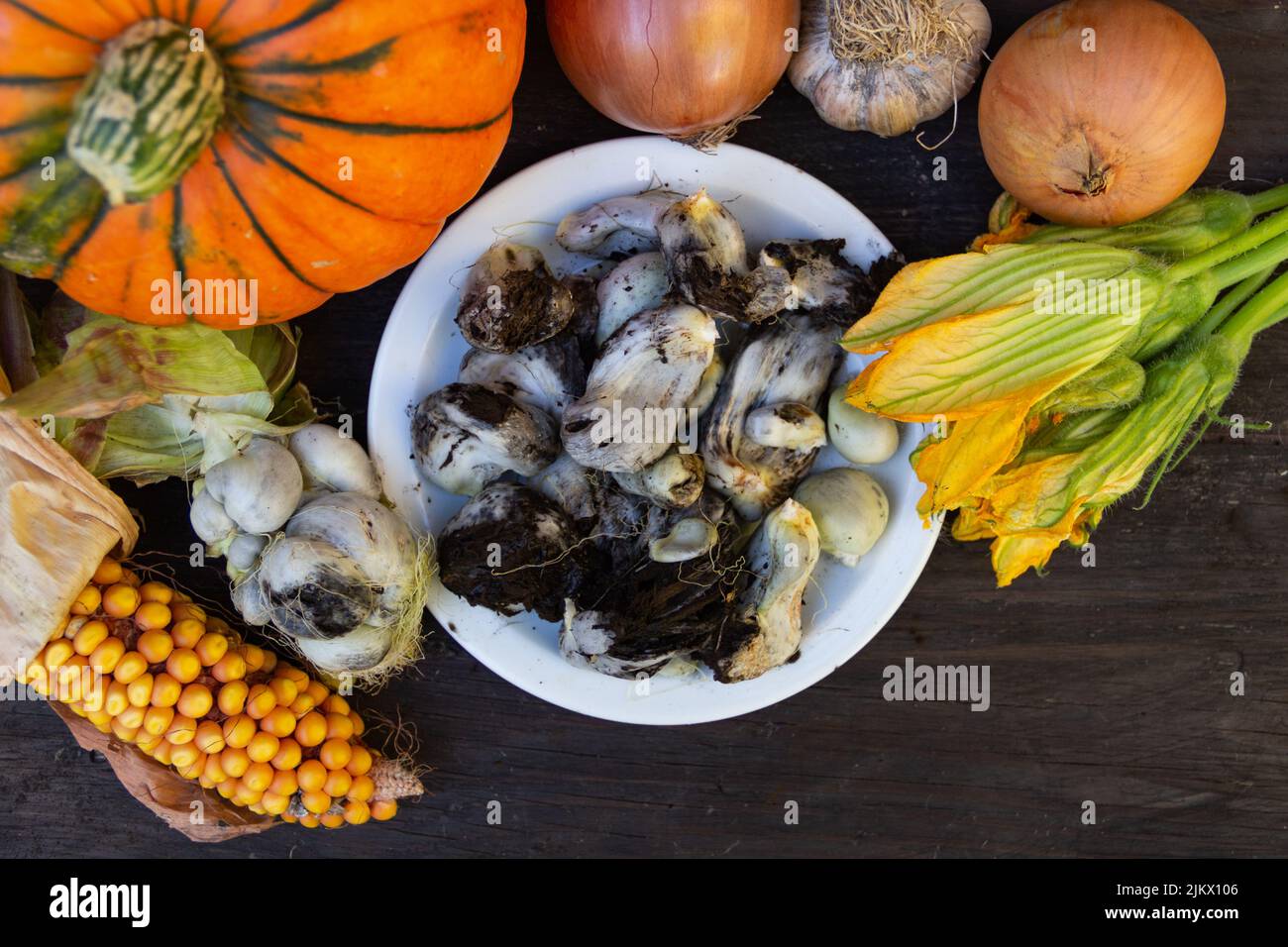 Aztec farming hi-res stock photography and images - Alamy
