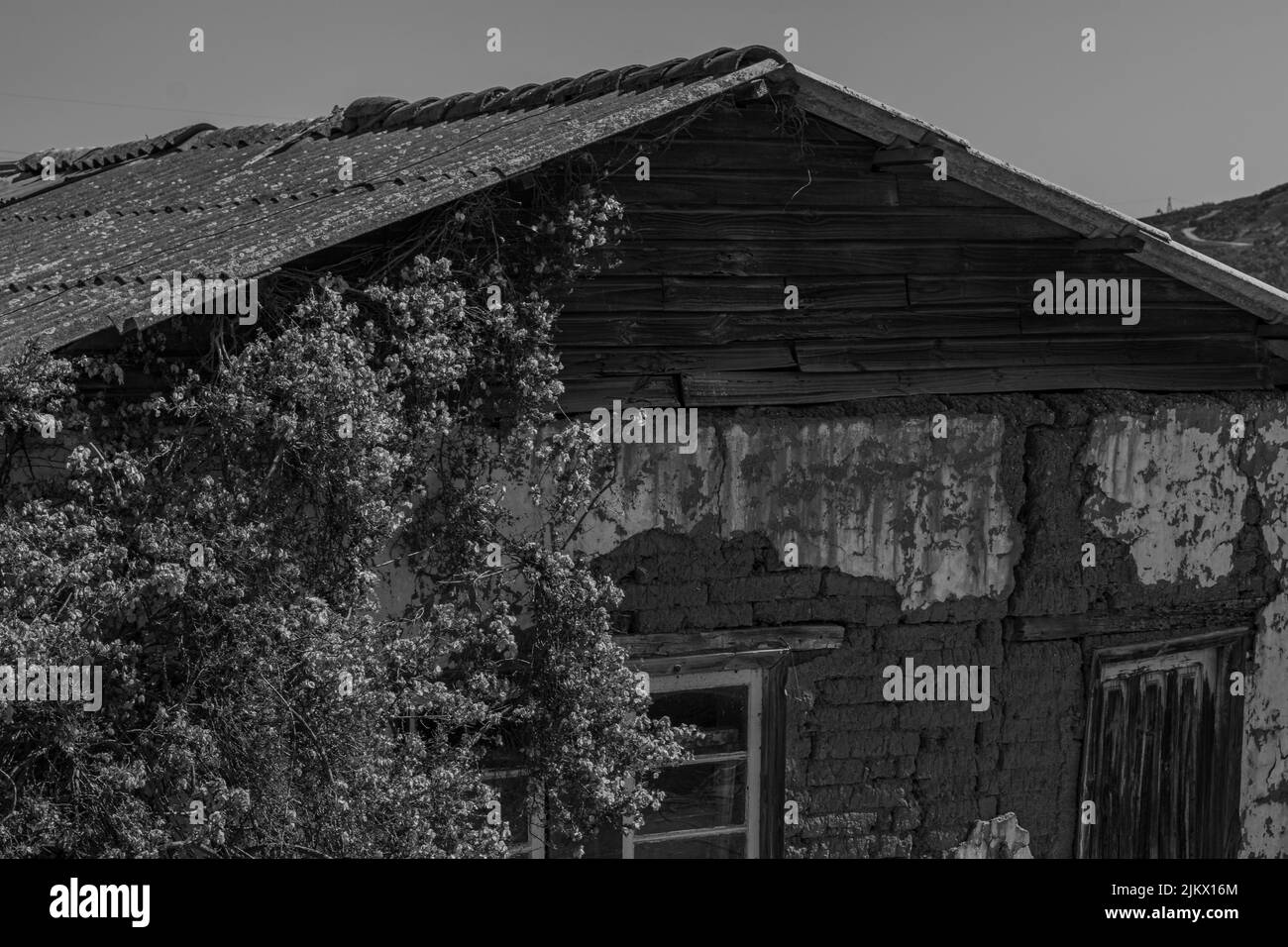 A greyscale shot of houses from the XX century in Chile Stock Photo - Alamy