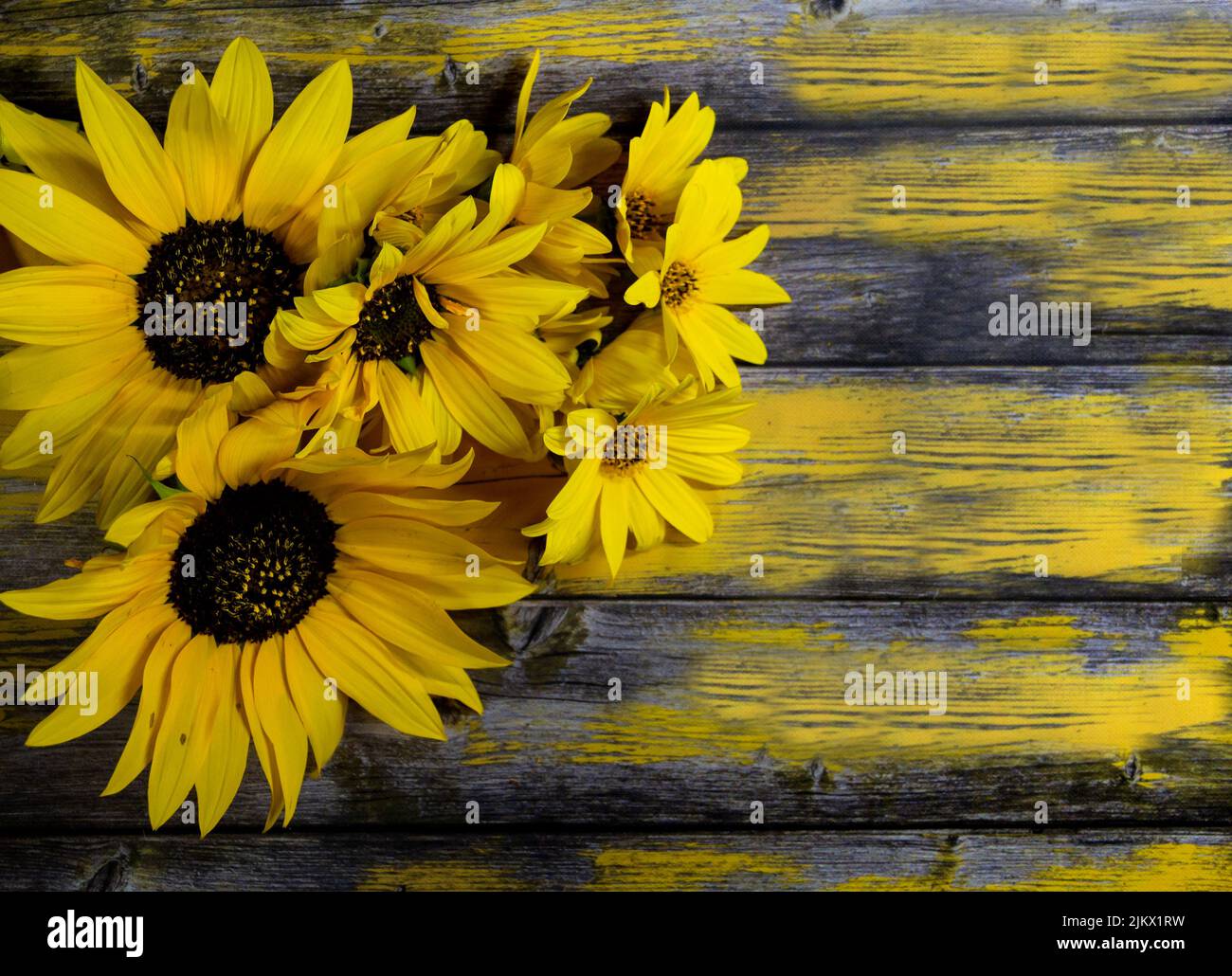 decorative border of yellow sunflowers on rustic wood Stock Photo - Alamy