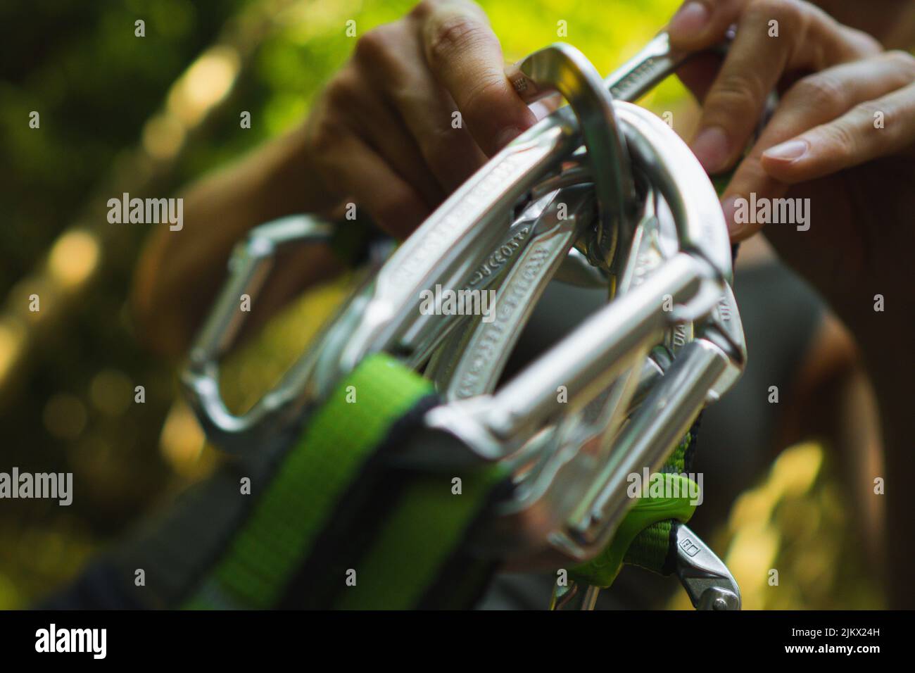 Wirestock hi-res stock photography and images - Alamy