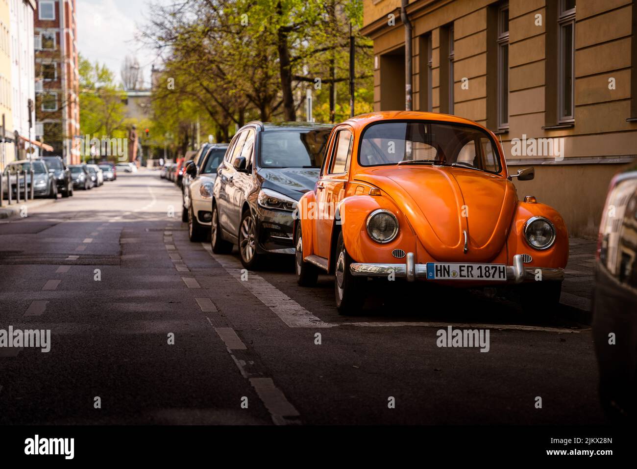 Historic oldtimer VW Beetle with orange paint. The classic car is ...