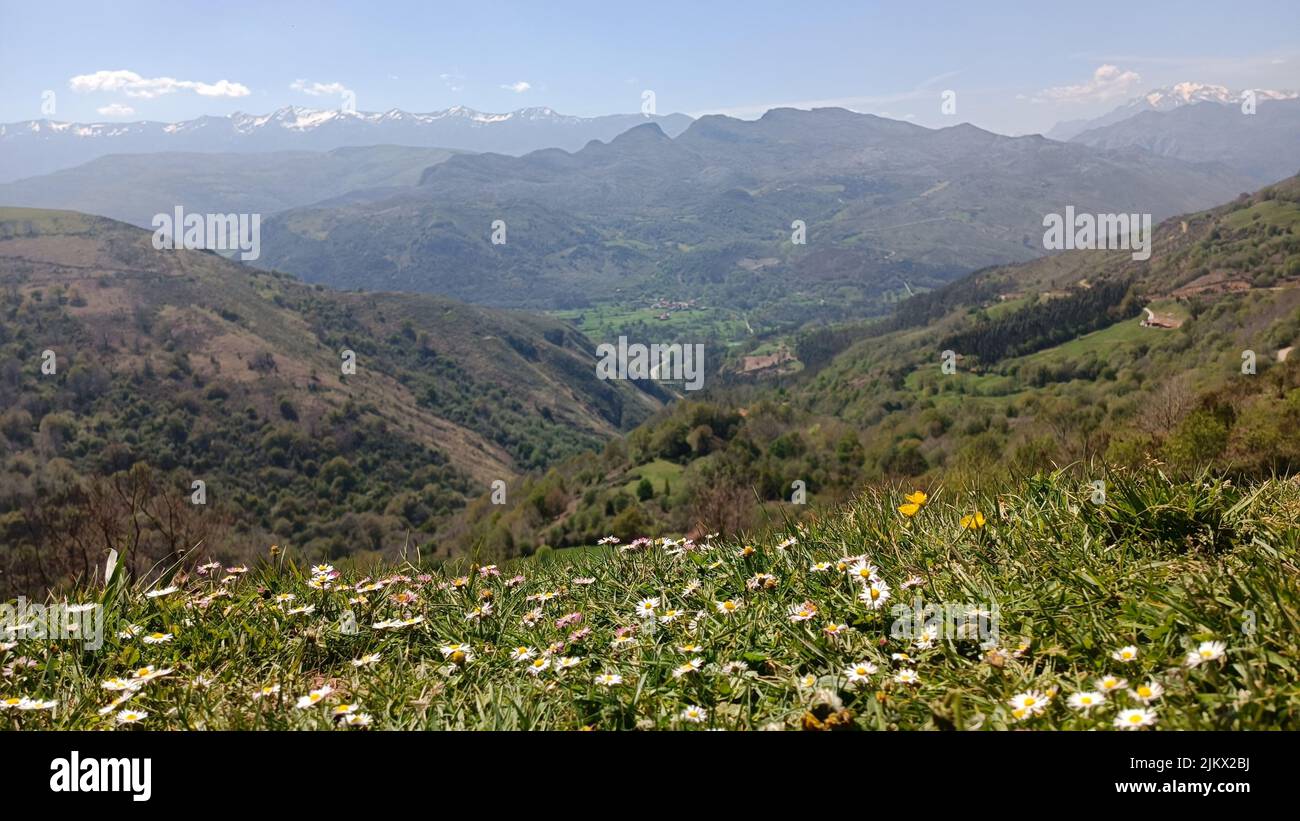 a shot of a mountain valley filled with trees Stock Photo - Alamy