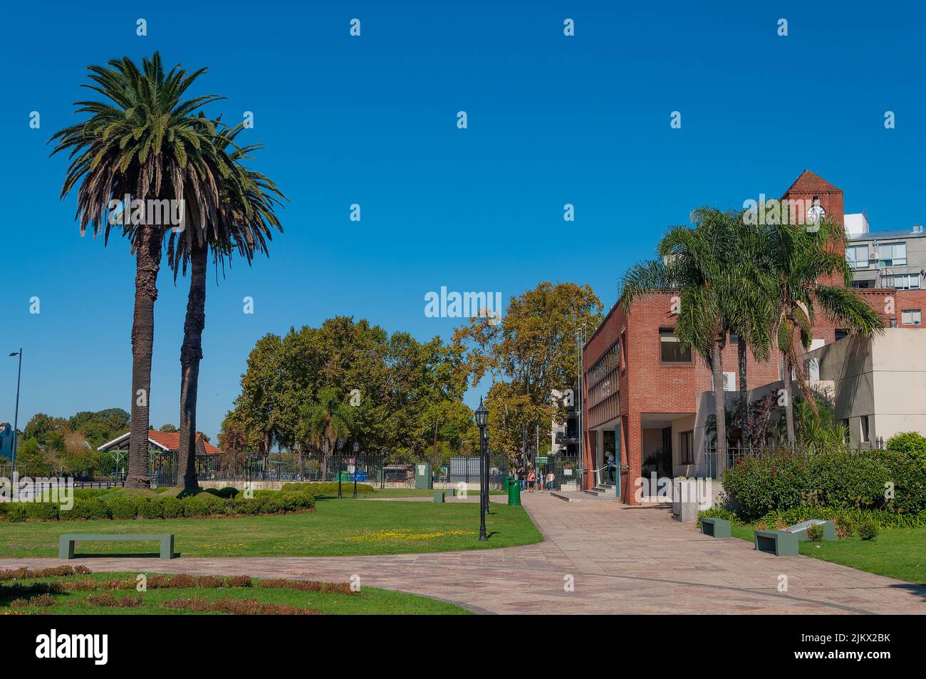 A view of greenery park with growing palm trees near the buildings ...