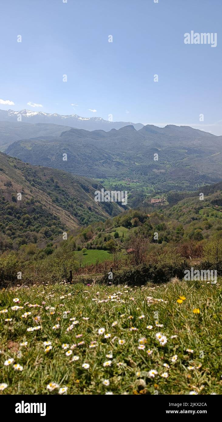 a vertical shot of a mountain valley filled with trees Stock Photo - Alamy