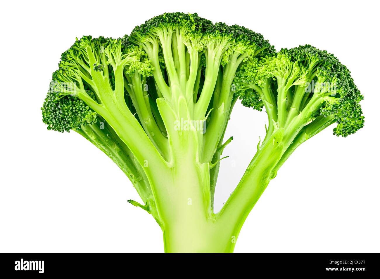 Inflorescence and trunk of broccoli vegetable cut in half isolated on ...
