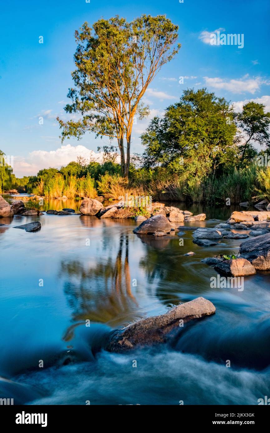 A vertical shot of a mesmerizing scenery of paradise with a river ...
