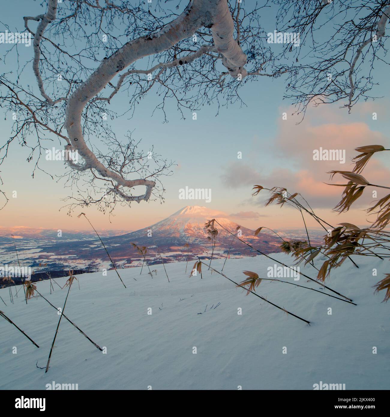A scenic view of Mount Yotei, Niseko, Japan in winter Stock Photo - Alamy