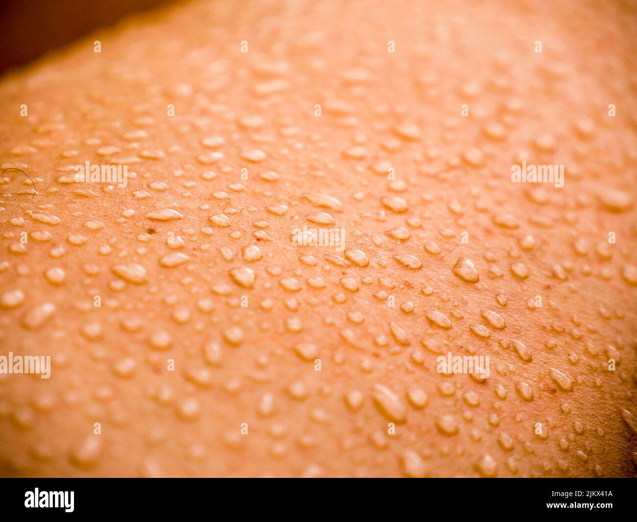 closeup of rain drops on the skin while cruising on the caribbean sea ...