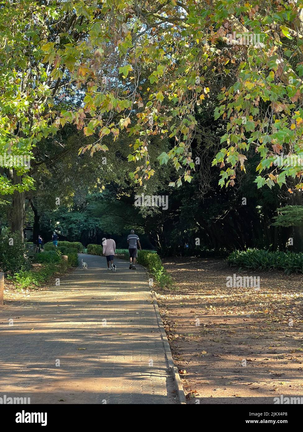 People hailing in a beautiful park in n Stock Photo - Alamy
