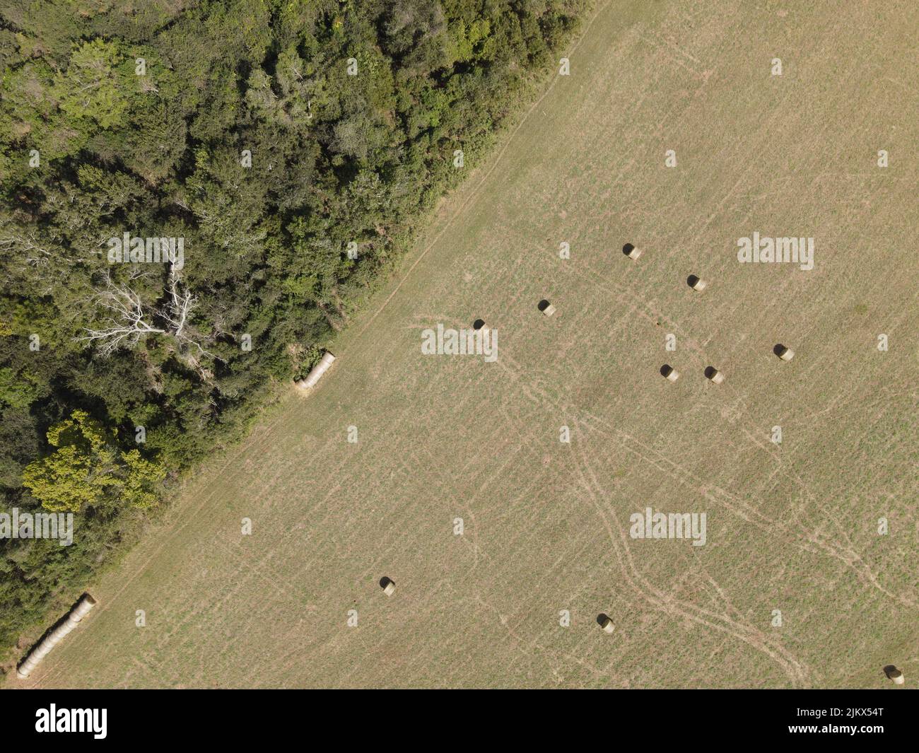 Grass field birds eye view hi-res stock photography and images - Alamy