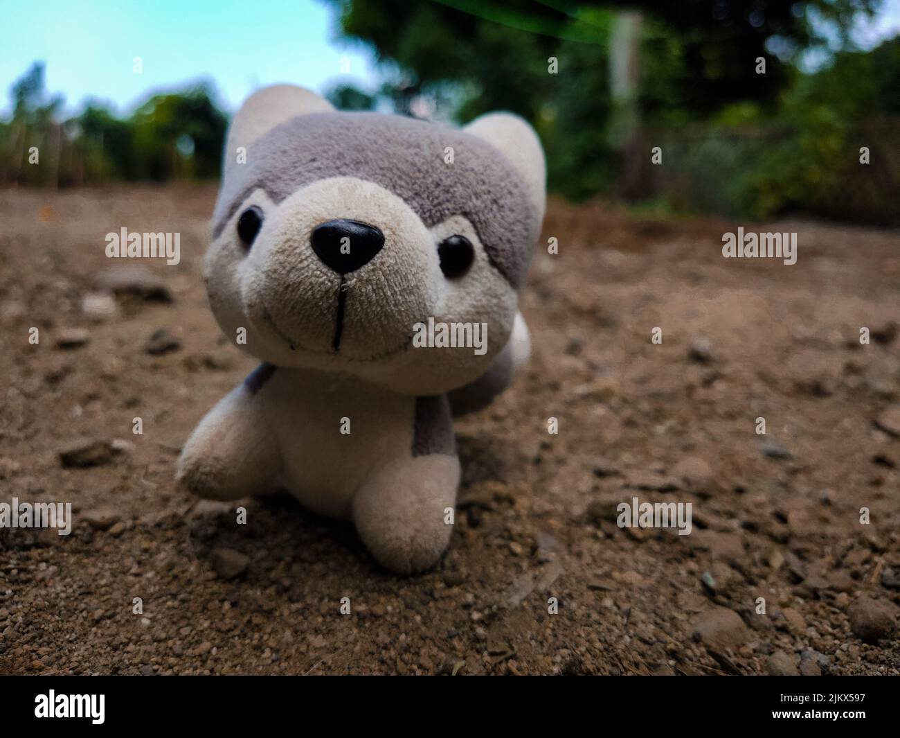 Ground outdoors hi-res stock photography and images - Alamy