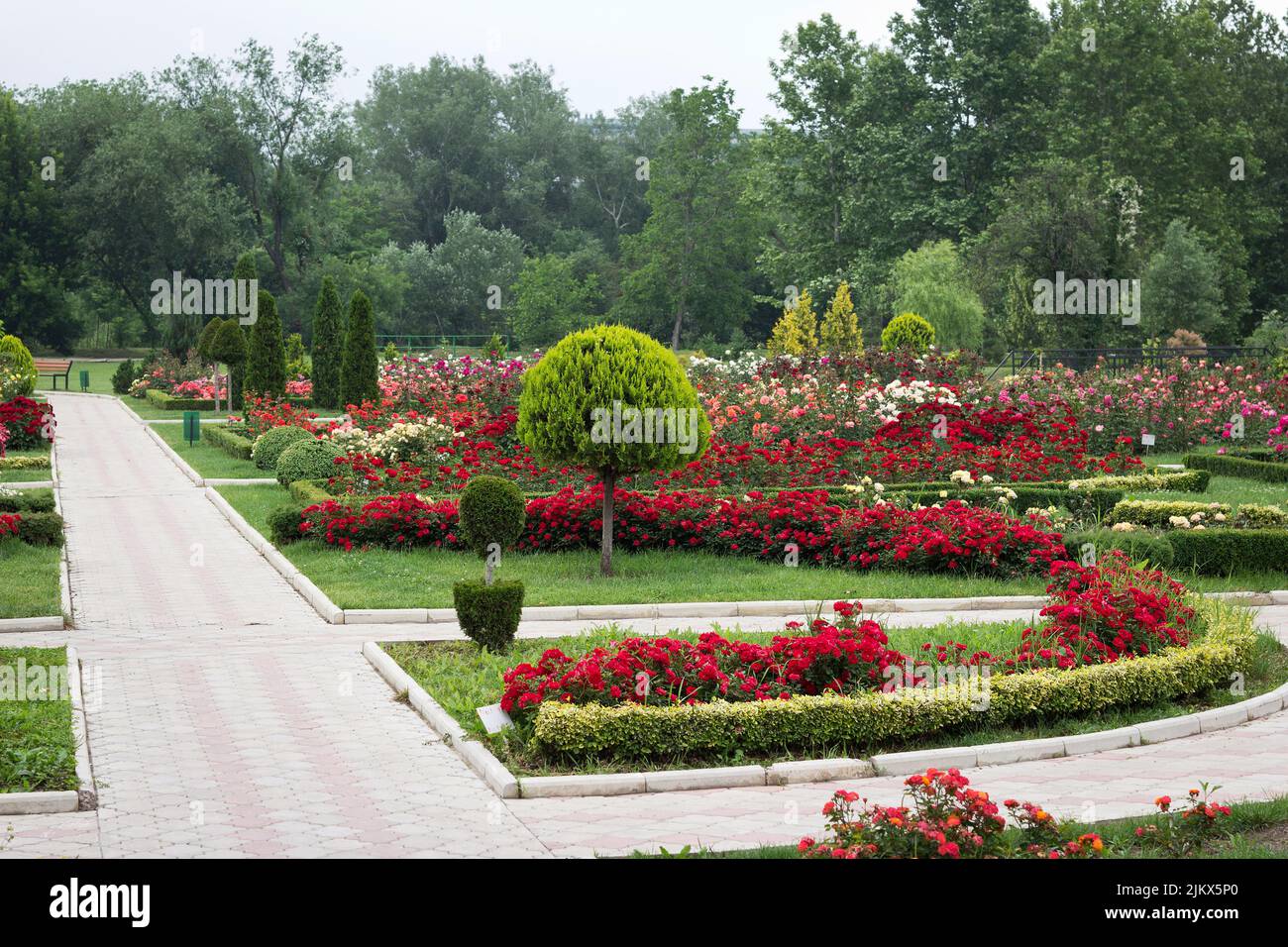 Manicured bushes hi-res stock photography and images - Alamy