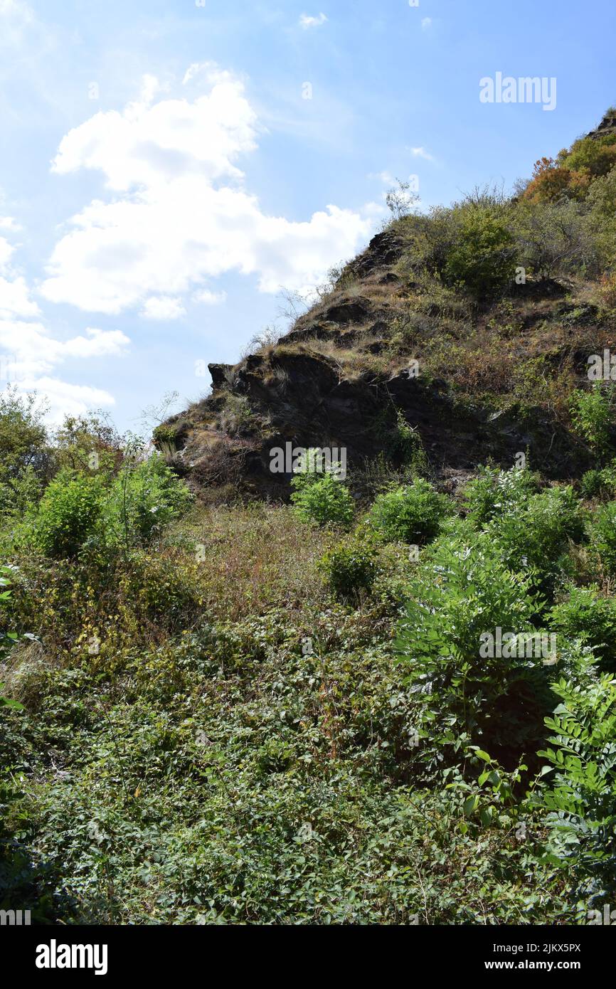 abandoned terraces vineyards on slate rocks Stock Photo - Alamy