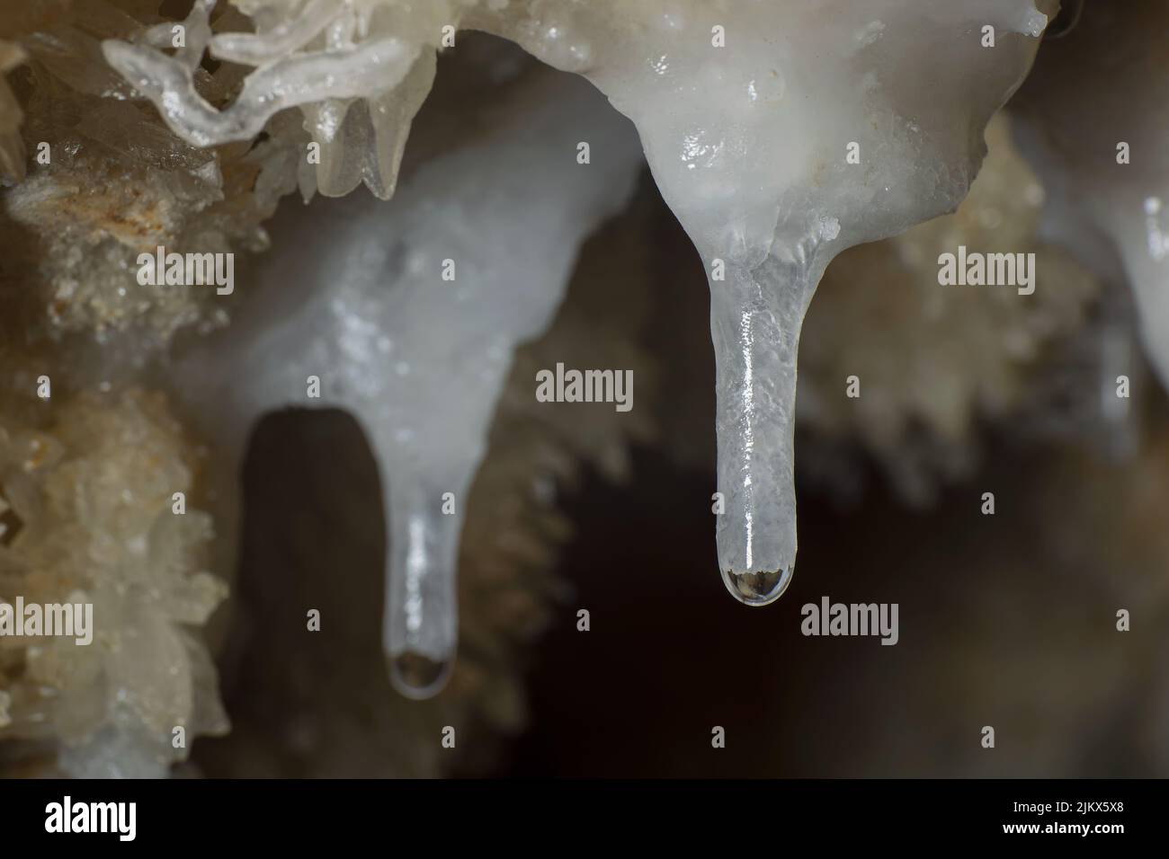 The thin stalactite icicles hang from the ceiling of the cave, (Cuevas ...