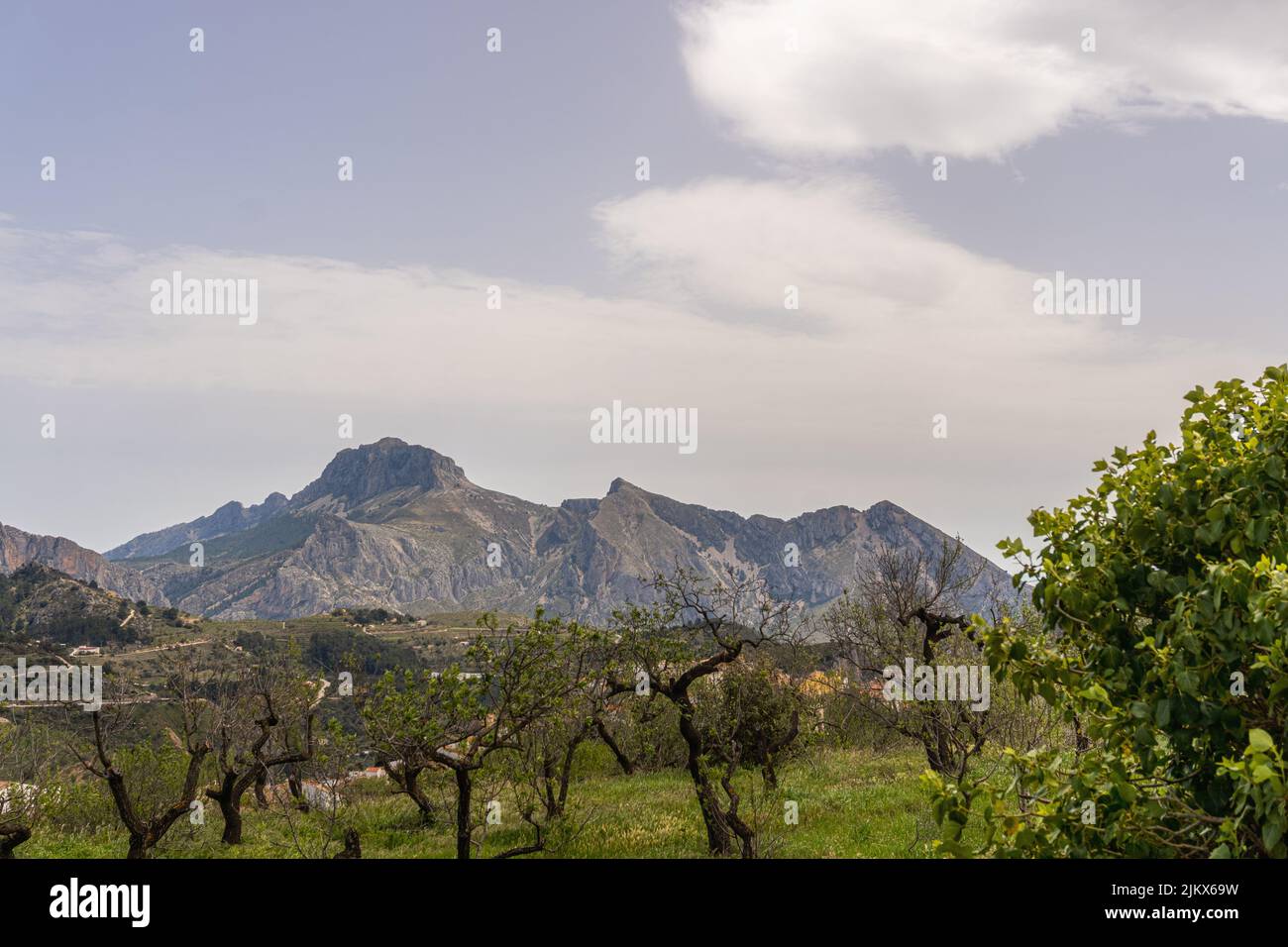 A scenic nature view with mountains and garden trees Stock Photo - Alamy