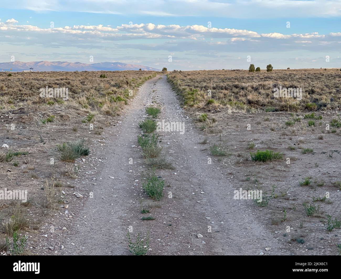 A scenic view of a pathway in a desert of dried plants and shrubs under ...
