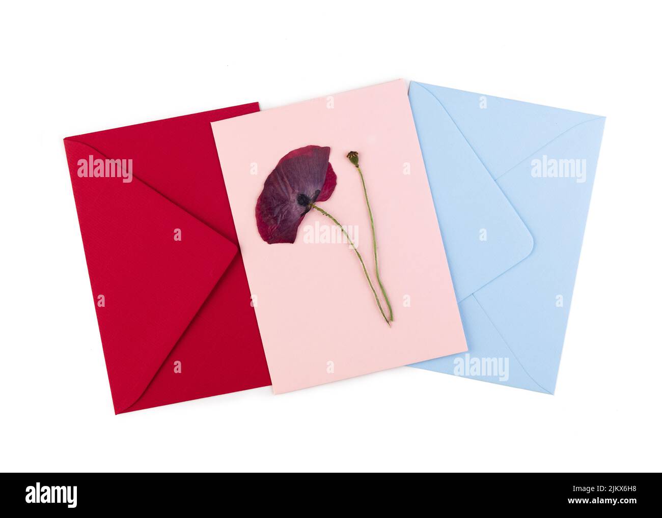 A dried pressed flower red postcard and blue and pink envelopes ...