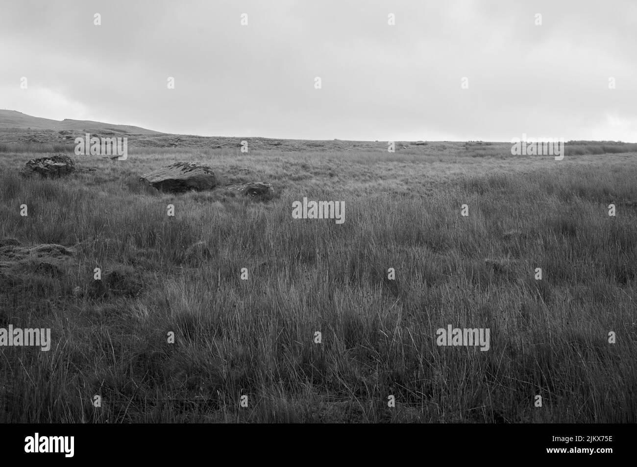 black and white monochrome View over rocks and grass on a grey rainy ...