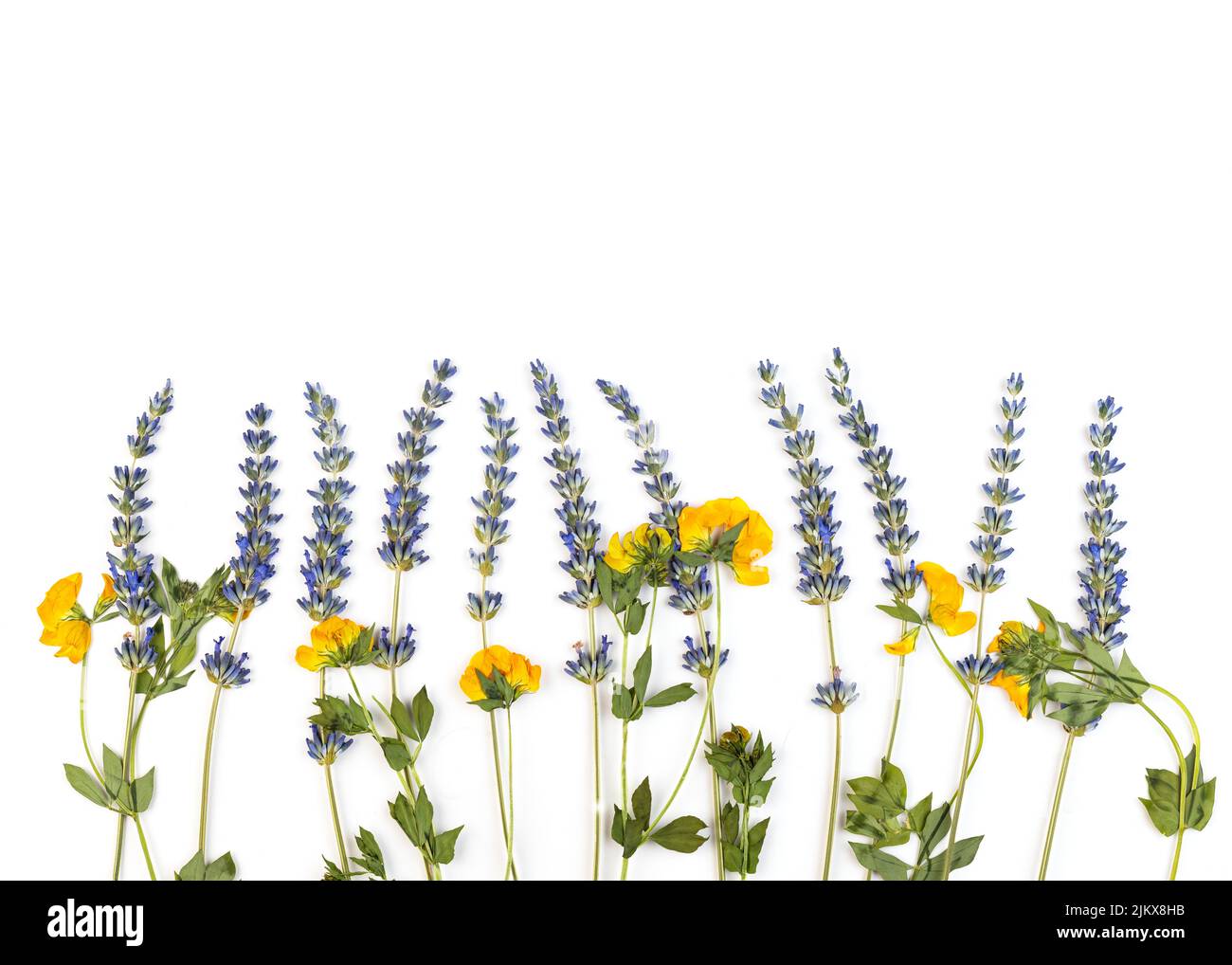 Oshibana floristry botanical pressed flower art. Boho style composition ...