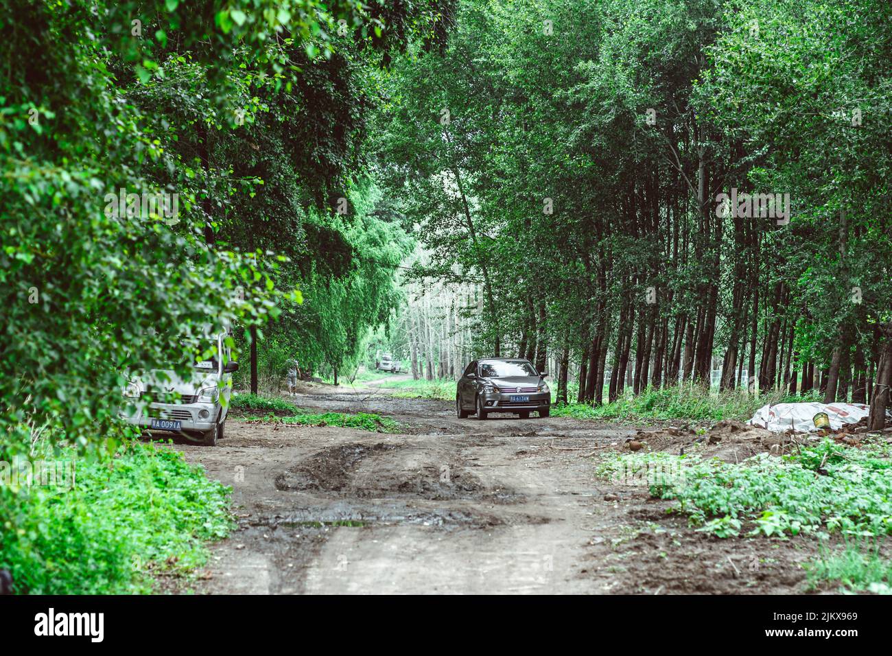 Car riding on road hi-res stock photography and images - Alamy