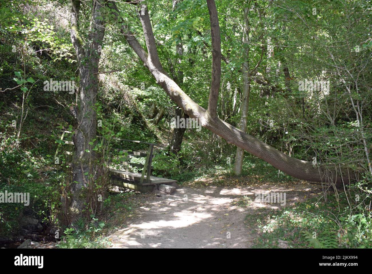 Moselsteig hiking trail hi-res stock photography and images - Alamy