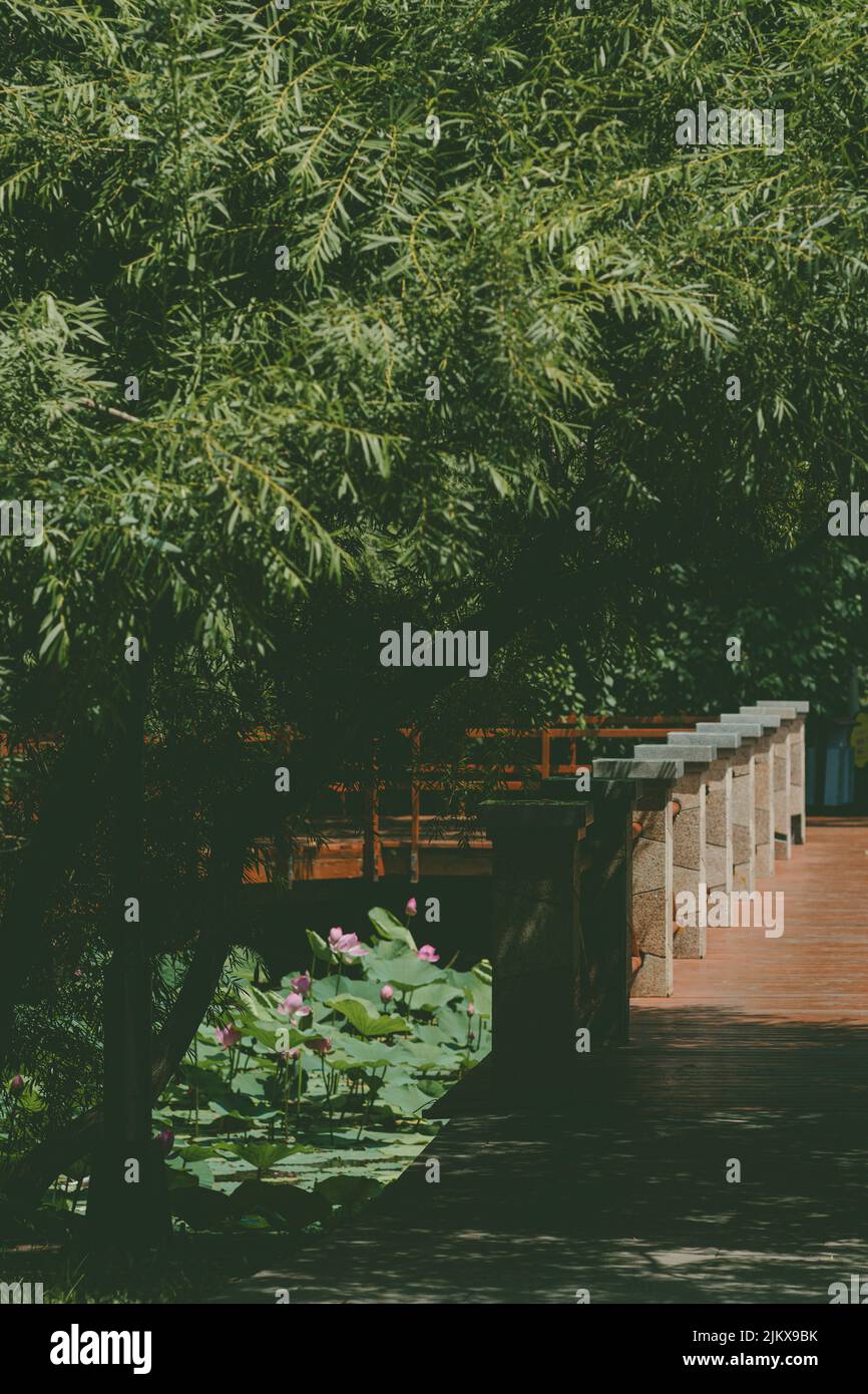 Bridge with green trees hi-res stock photography and images - Alamy