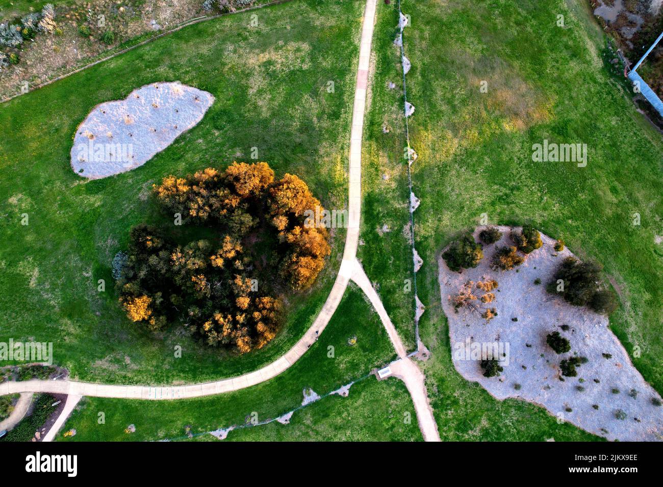 An aerial view of plants and bushes in a park Stock Photo - Alamy