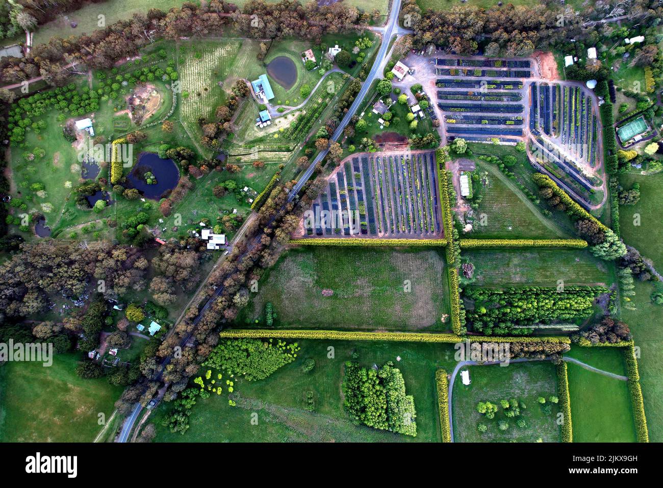 An aerial view of a picturesque garden with lush greenery and stone ...