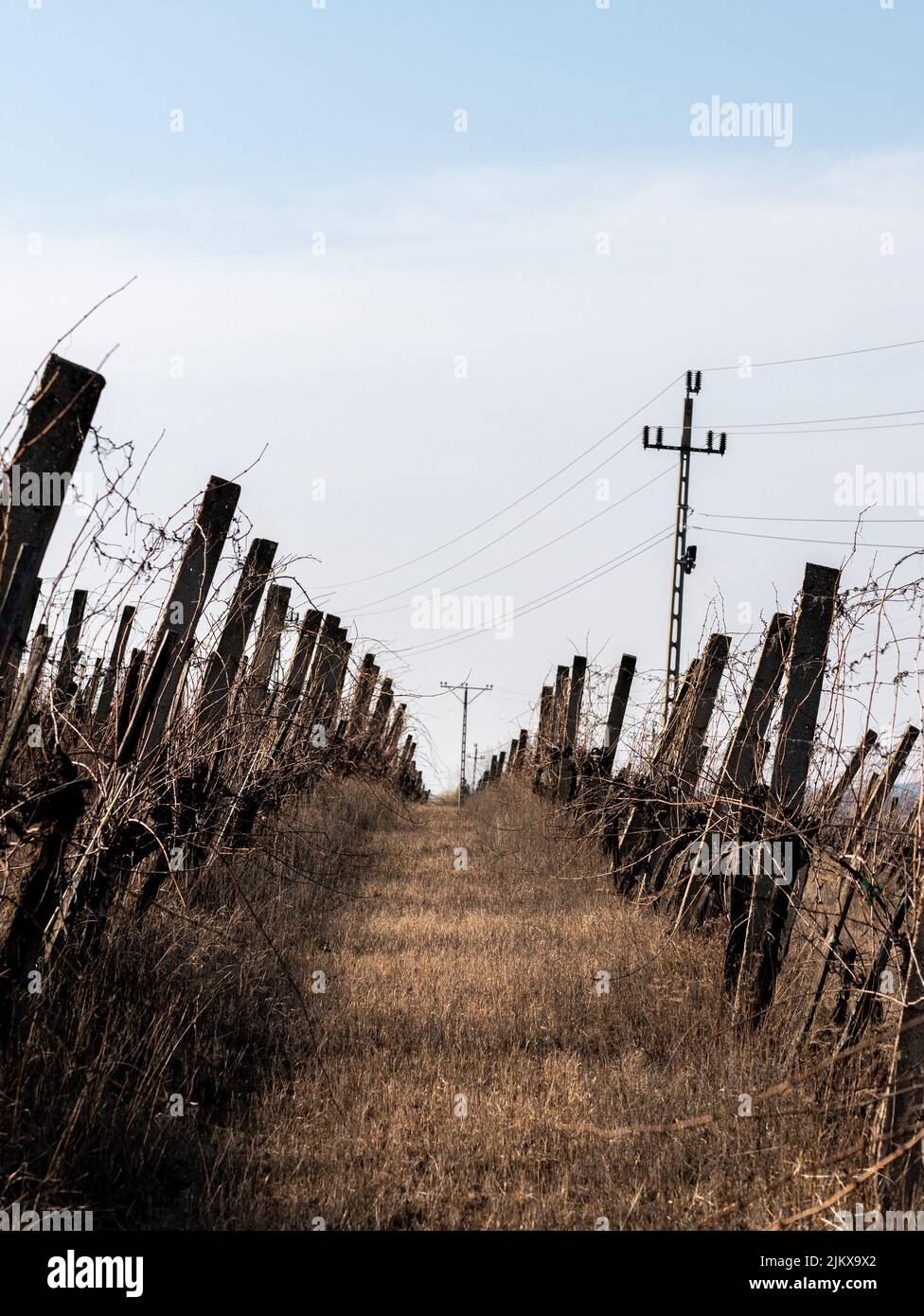 Trail of wire hi-res stock photography and images - Alamy