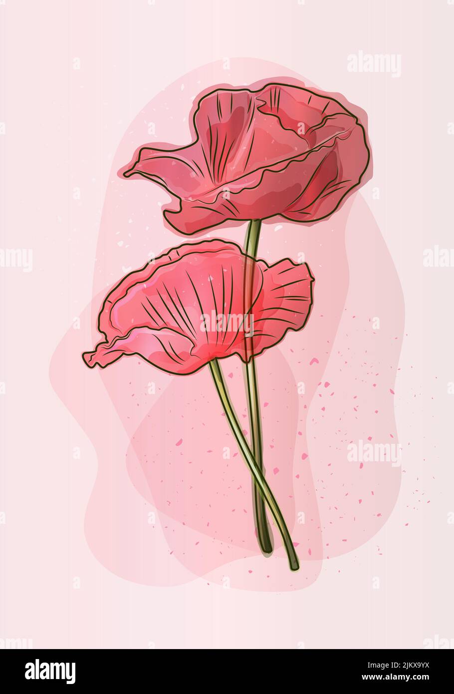 Poppy red bloom in Stock Vector Images - Alamy