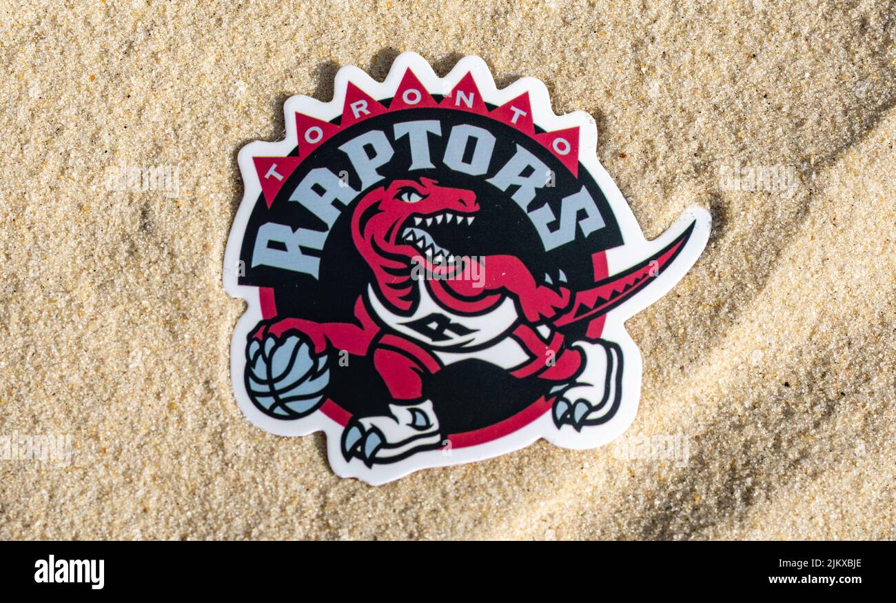 Raptors Logo 2022