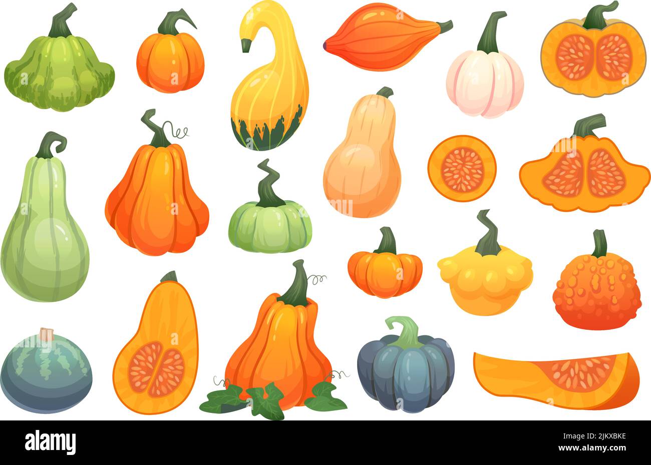 Squashes squash Stock Vector Images - Alamy